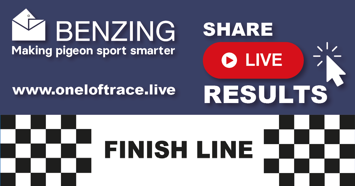 All upcoming One Loft Races